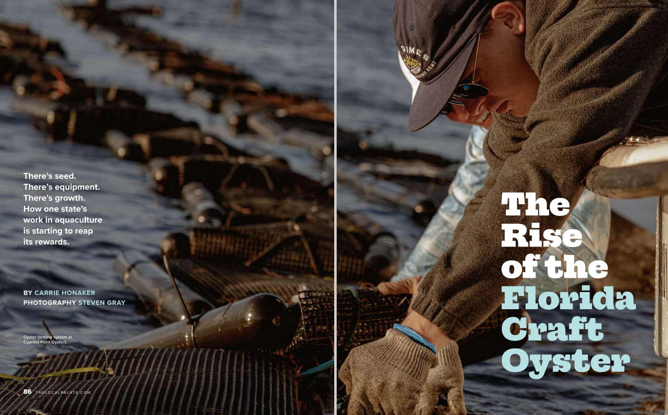 Carrie Honaker Home - Carrie Honaker ~ Freelance Writer